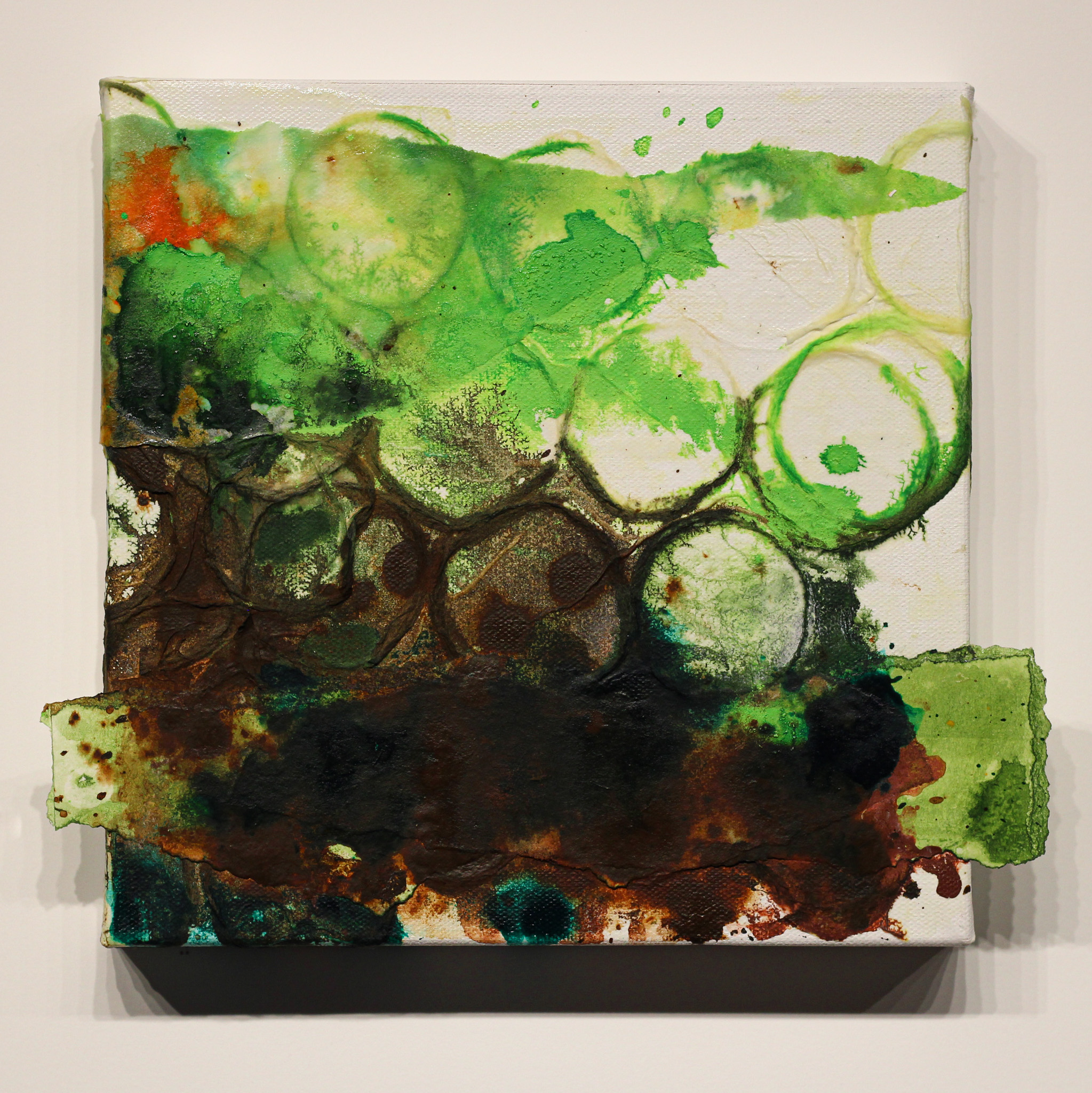 Sarah Horne – Artist